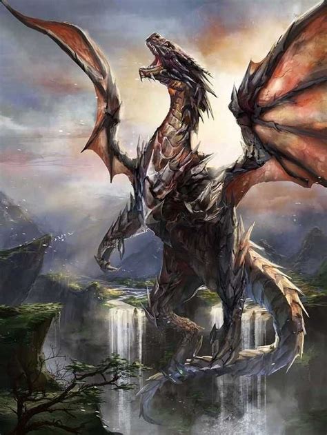 European Dragons