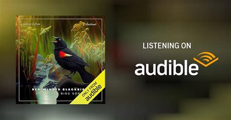 Red Winged Blackbird And Other Bird Songs Audiobook By Greg Cetus