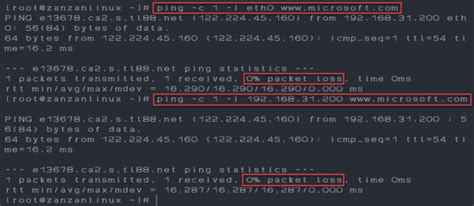 Linux Ping Ip指令：使用127 0 0 1檢查網路連線