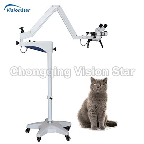 China Manufacturer Price Veterinary Operation Microscope Medical Devices For Sale Chongqing