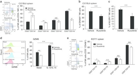 Jaki Decrease Nk Cell Maturation And Activation A Splenic Nk Cell Download Scientific
