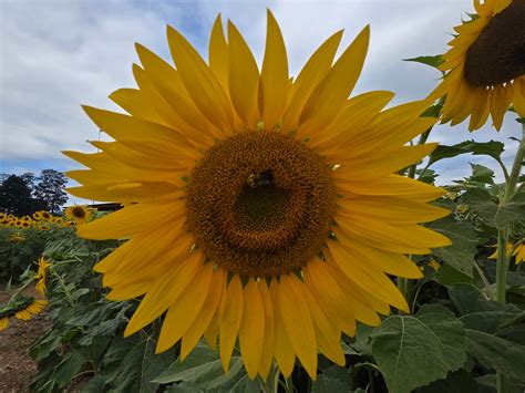 The Farmers Dotterer Added A New The Farmers Dotterer