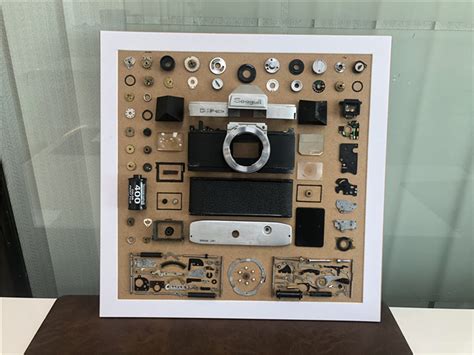 Camera Teardown Art Disassembled Camera With Frame Film Etsy