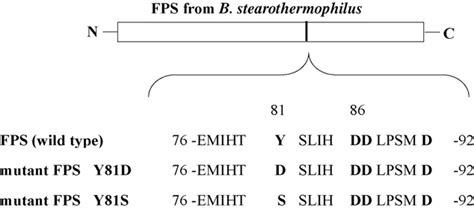 Scheme 3 Wild And Mutated Type Of Farnesyl Diphosphate Synthases