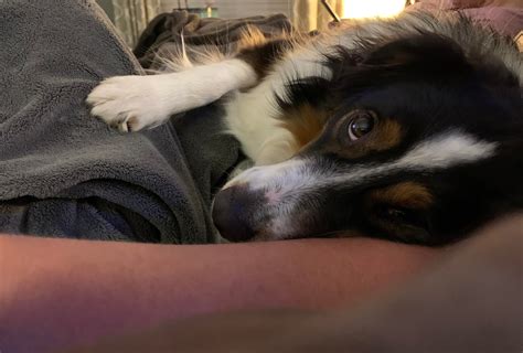 Shes Cute And She Knows It R Disneyeyes