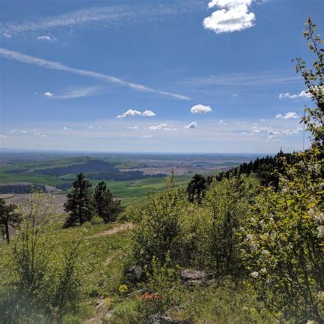 Kamiak Butte County Park Trail