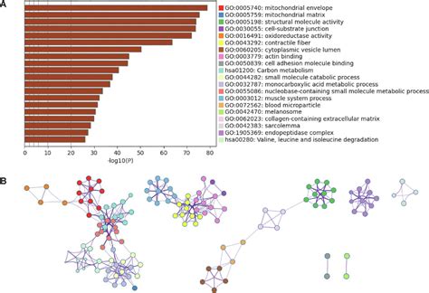 Furosemide Induced Systemic Dehydration Alters The Proteome Of Rabbit