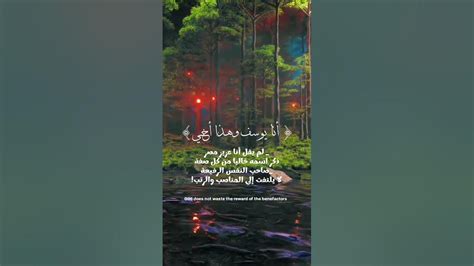 قال انا يوسف وهذا اخي 🌨 Explore حالاتواتس Shorts قرآن سميرعزت آياتمؤثرة تلاوةخاشعة