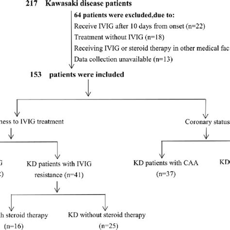 Flow Chart Of The Study Ivig Intravenous Immunoglobulin Kd Kawasaki