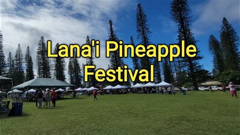 Pineapple Festival Hawaii At Renetta Wallace Blog