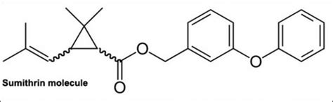 Anvil 10 10 Sumithrin Or D Phenothrin Central Mass Mosquito Control