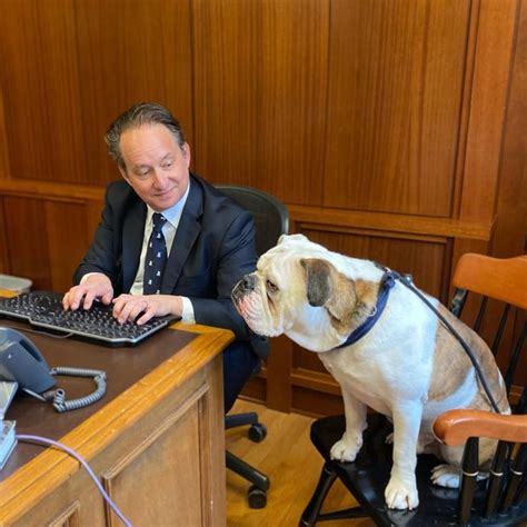 Pericles Lewis On Linkedin Dean Pericles Lewis On Instagram Hard At Work With One Of My Favorite