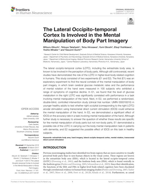 Pdf The Lateral Occipito Temporal Cortex Is Involved In The Mental