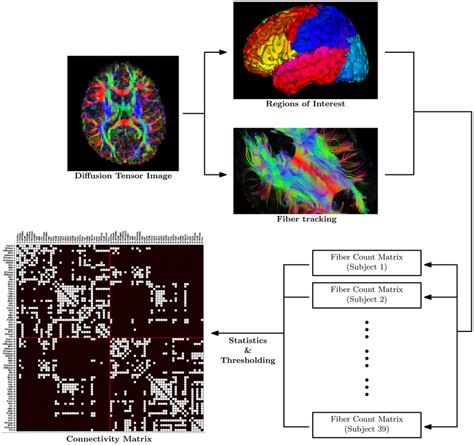 Obtaining The Connectivity Matrix A Schematic Digram Illustrating The Download Scientific