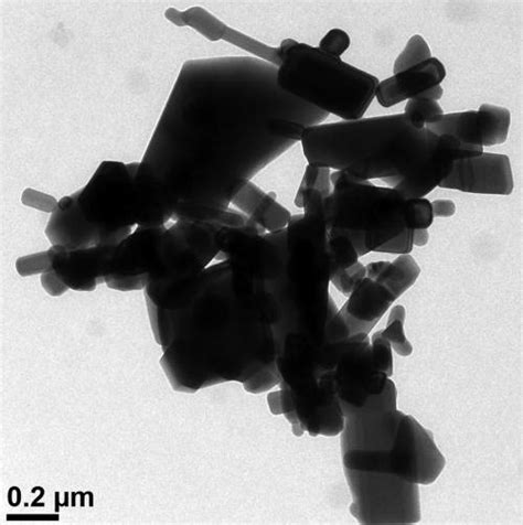 Enhancement Of Electrical Conductivity In Coo Sio2 Nanoglasses And Large Magnetodielectric