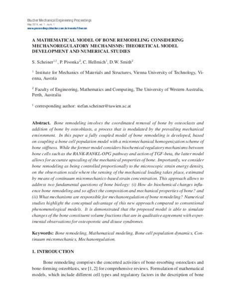 Pdf A Mathematical Model Of Bone Remodeling Considering