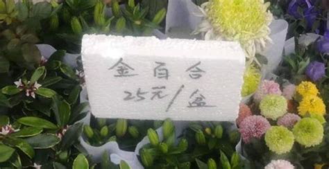 艳丽的金百合腾讯新闻