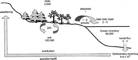 Figure 1 From The Global Phosphorus Cycle Semantic Scholar