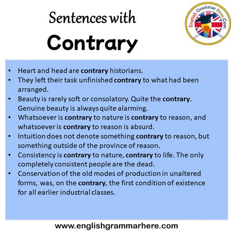 Sentences With Contrary Contrary In A Sentence In English Sentences For Contrary English
