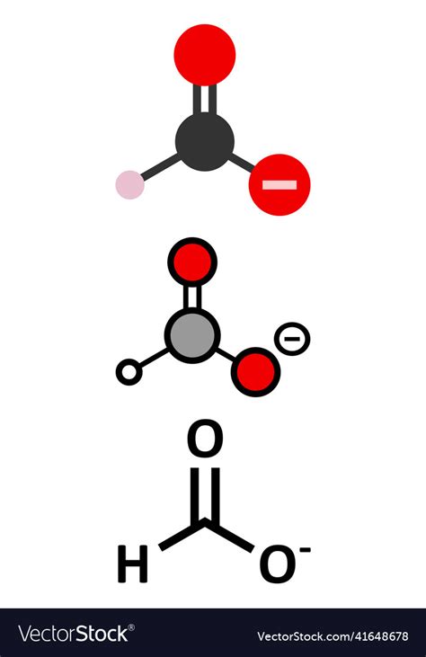 Formate Anion Chemical Structure Royalty Free Vector Image
