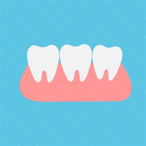 Premium Vector Healthy Teeth In The Gums Side View Dental Design