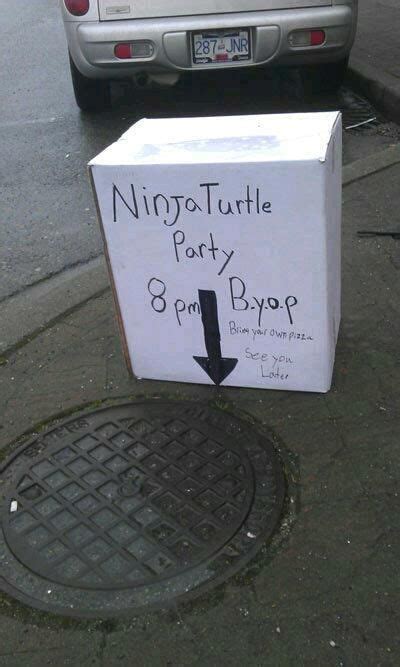 Party At The Turtles Funny Pictures Funny Photos Bones Funny