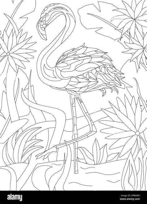 Free Coloring Pages Of Rainforest Plants 2025