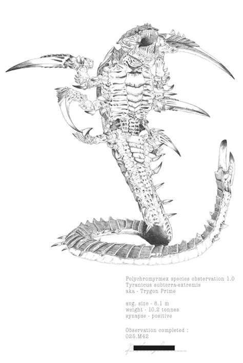 I Drew My Trygon Scrolller