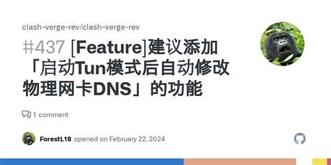 Feature 建议添加「启动tun模式后自动修改物理网卡dns」的功能 · Issue 437 · Clash Verge Rev
