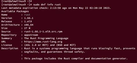 Guide To Install Rust And Use Cargo Package Manager On AlmaLinux