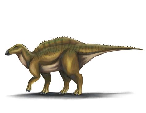 Barsboldia Gentle Giant Herbivore Of The Late Cretaceous