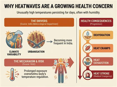 Summer Heatwaves Are Already Here Doctors Share Tips To Stay Safe And