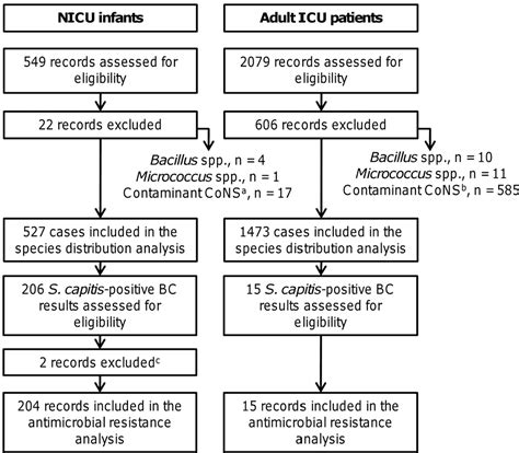 Staphylococcus Capitis Semantic Scholar