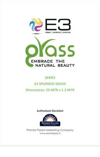 For Garden E3 Splendid Grass 20 Mm At Best Price In Jaipur Id