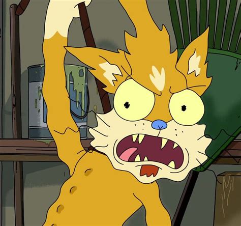 500 Fonds Décran Rick And Morty