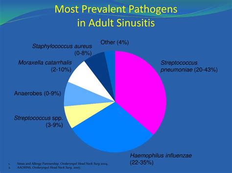 Ppt Sinusitis Assessment Diagnosis And Treatment Sometimes It I S