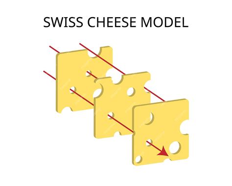 Premium Vector Swiss Cheese Model Of Accident Causation Is A Model