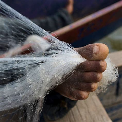 Forced Labor Free The Slaves