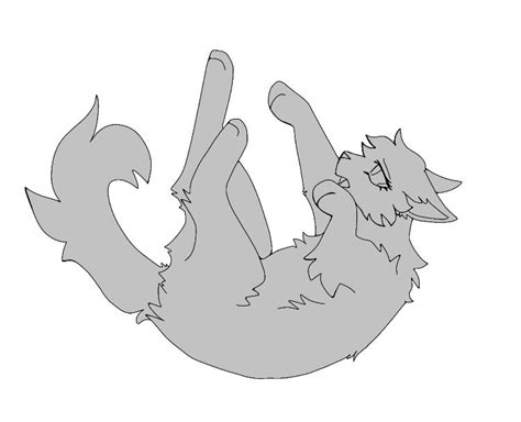 330 Warrior Cats Reference Gallery Ideas