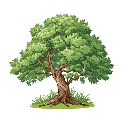Premium Vector Tree Vector On A White Background Premium Vector Tree Vector On A White Background