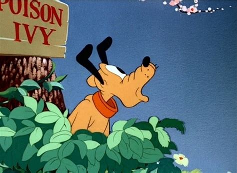 Springtime For Pluto 1944 The Internet Animation Database