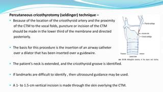 Anatomy And Assessment Of Airway Pptx