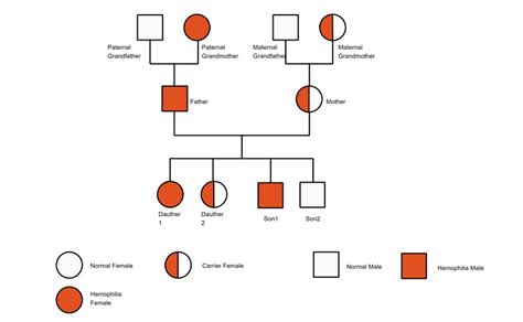 Free Editable Genogram Examples Edrawmax Online Free Editable Genogram Examples Edrawmax Online