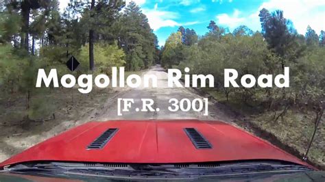 Forest Road 300 Camping 17 Idn Camping