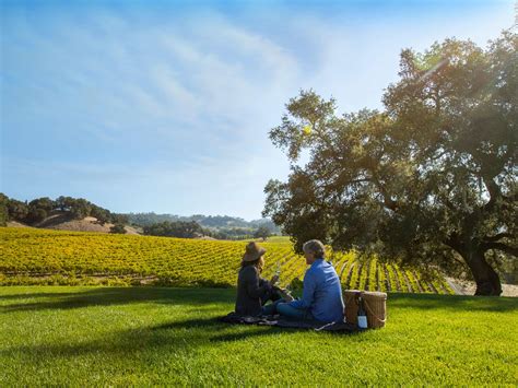 Borderlands 2025 한글자막 Sonoma County Tourism