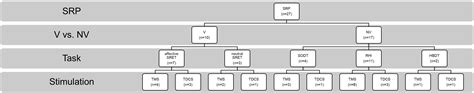 frontiers self referential processing effects of non invasive brain