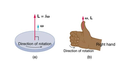 Angular Momentum Bartleby