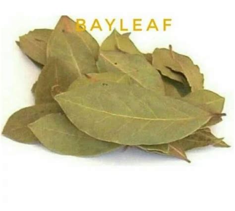 Bay Leaf Packaging Type Packet Packaging Size 25 Kg At Rs 250kg In Sas Nagar