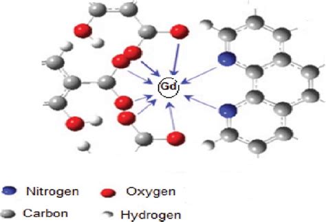 Molecular Structure Of Gdpolymer Complexes Download Scientific Diagram
