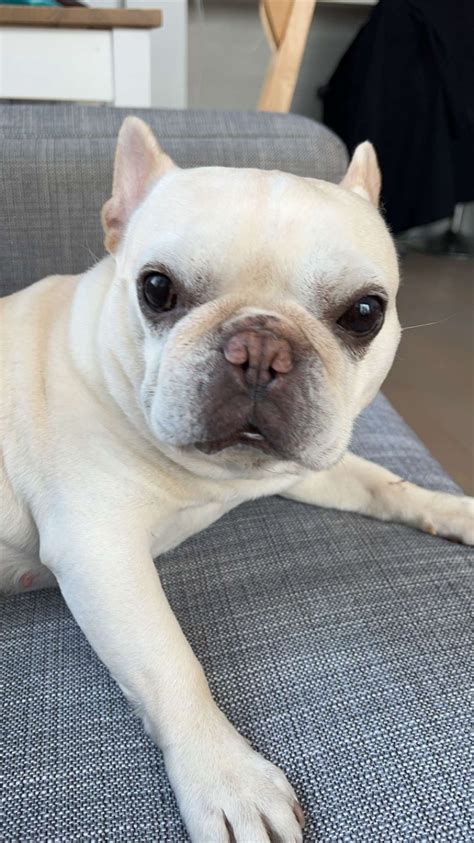 She Doesnt Know Im Gonna Make Her Do My Jira Tickets Stephan D Ramalho